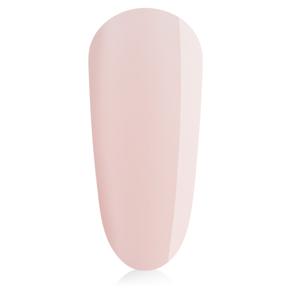 The Gelbottle BIAB Dreamer – The BLOOOM